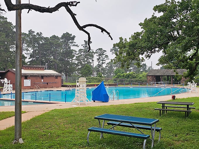 The swimming pool at Bastrop State Park isn't just a place to cool off—it's where pine-scented breezes meet chlorine in perfect Texas harmony.