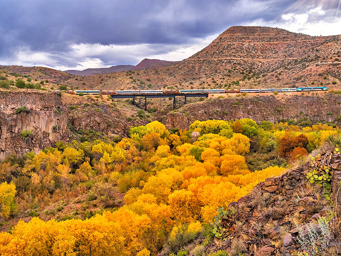 The Verde Canyon Railroad glides over a trestle bridge while autumn paints the canyon floor in a dazzling explosion of gold and amber.