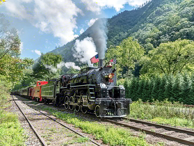 Steam billowing through mountain greenery – this is what happens when vintage engineering meets Mother Nature's finest work.