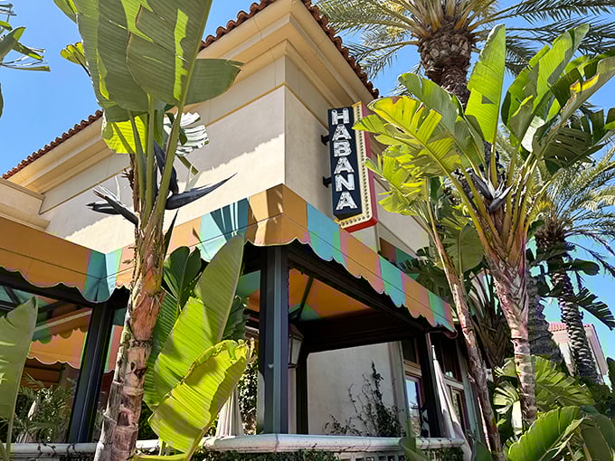Palm trees and striped awnings announce you've arrived somewhere special—Costa Mesa's little slice of Havana awaits inside.
