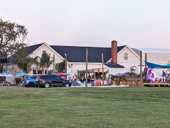 The white clapboard exterior of Old Salty's beckons like a mirage after your drive through Dorchester County's marshlands—worth every mile of the journey.