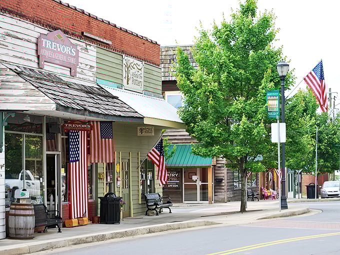 Main Street Ellijay looks like it was plucked straight from a Hallmark movie set, complete with American flags that outnumber the parking meters.