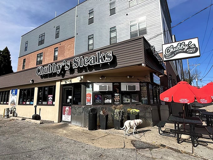 That distinctive storefront sign isn't just marking a spot—it's basically announcing where happiness lives on Ridge Avenue.