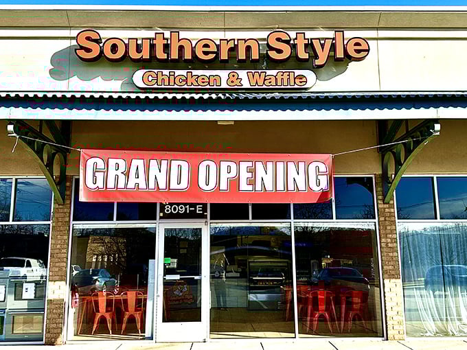Grand opening banners may come and go, but those signature red chairs outside say "sit here, magic happens inside."