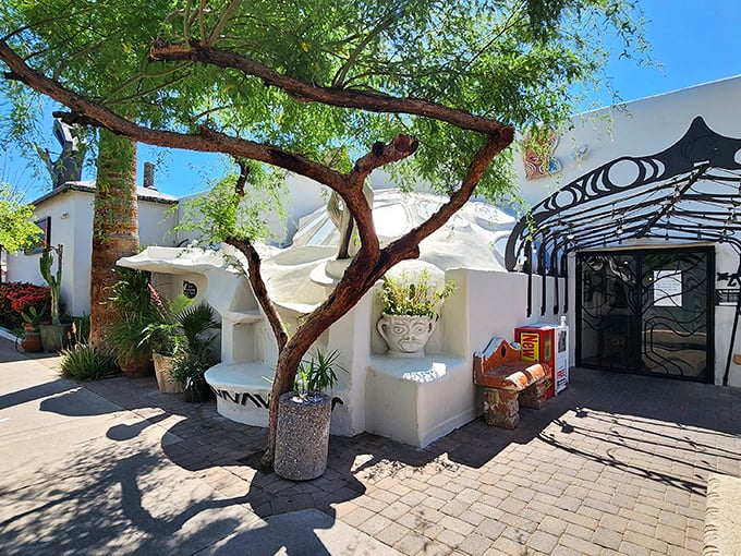 A mesmerizing entryway where desert meets design. That twisted tree seems to be saying, "Follow me to the enchiladas!"
