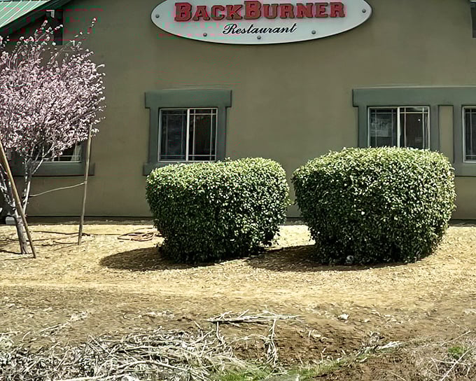 The unassuming exterior of BackBurner Restaurant in Prescott Valley hides culinary treasures within, like finding a diamond in your backyard.