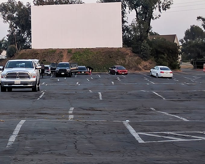 The iconic white screen of South Bay Drive-In stands ready for dusk, when movie magic transforms this simple structure into a portal to other worlds.