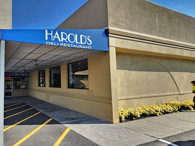 The unassuming exterior of Harold's New York Deli – where sandwich dreams come true and portion control goes to die.