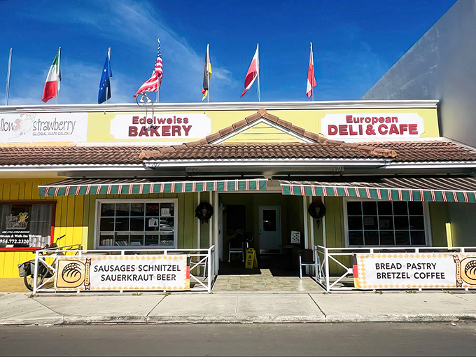 International flags flying high, because good pastry knows no borders and neither should your appetite for adventure.