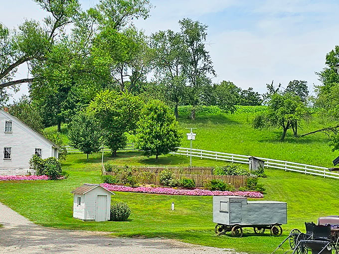 The quintessential Amish landscape—where vibrant flower beds and white picket fences aren't Instagram props but simply Tuesday afternoon in Millersburg.