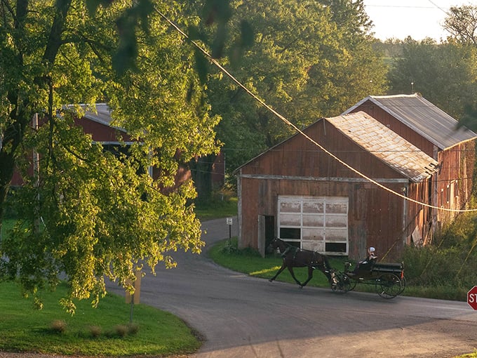 Golden hour in Amish Country paints wooden barns and horse-drawn buggies with the kind of light Instagram filters try desperately to replicate.