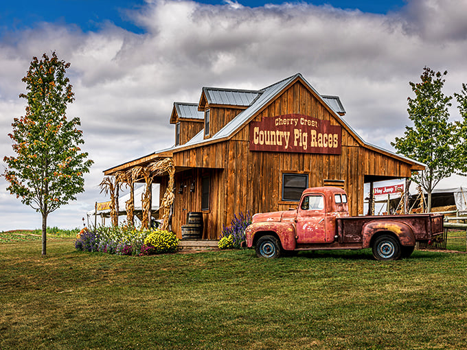 The iconic Country Pig Races barn at Cherry Crest, complete with vintage red truck. Farm nostalgia doesn't get more picture-perfect than this.