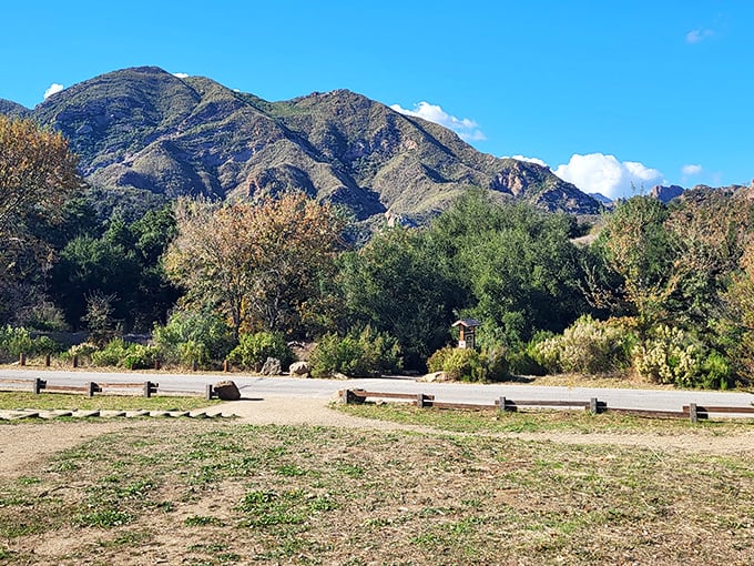 1. the dreamy state park in california that feels like stepping into a real life painting