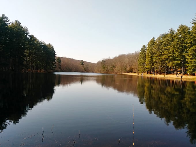 Mirror, mirror on the pond—Chatfield Hollow's glassy waters reflect towering pines like nature's own Instagram filter. Connecticut serenity at its finest.
