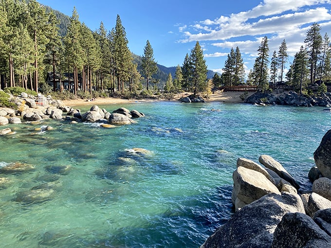 That wooden fence isn't just protecting you from the edge—it's framing one of nature's greatest masterpieces perfectly.
