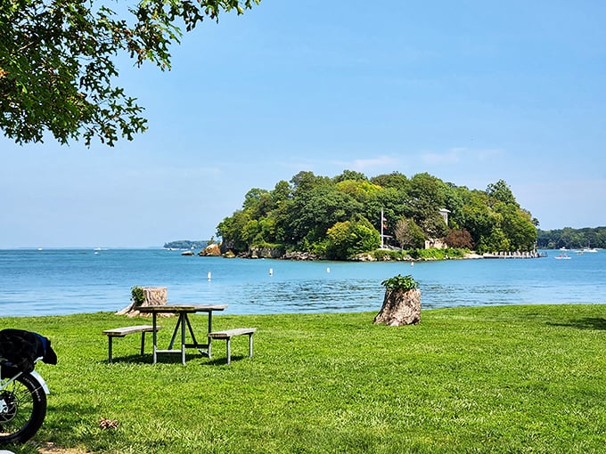 Mother Nature showing off her landscaping skills—a lone picnic table with million-dollar views that no restaurant reservation could ever match.