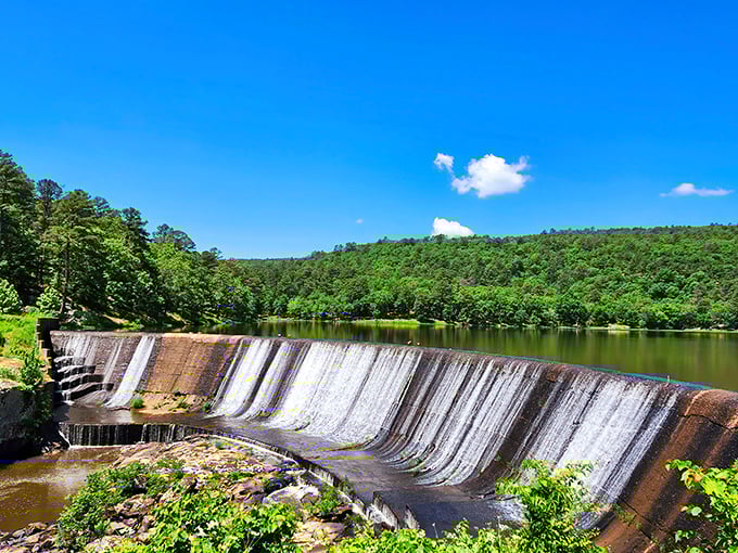 The Lake Carlton dam creates a scene straight out of a Bob Ross painting—"happy little trees" included, no artistic license required.