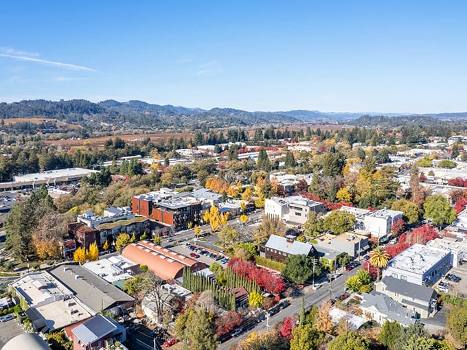 Autumn paints Healdsburg in a palette of reds and golds, transforming this charming wine country town into a postcard-perfect scene that begs to be explored.
