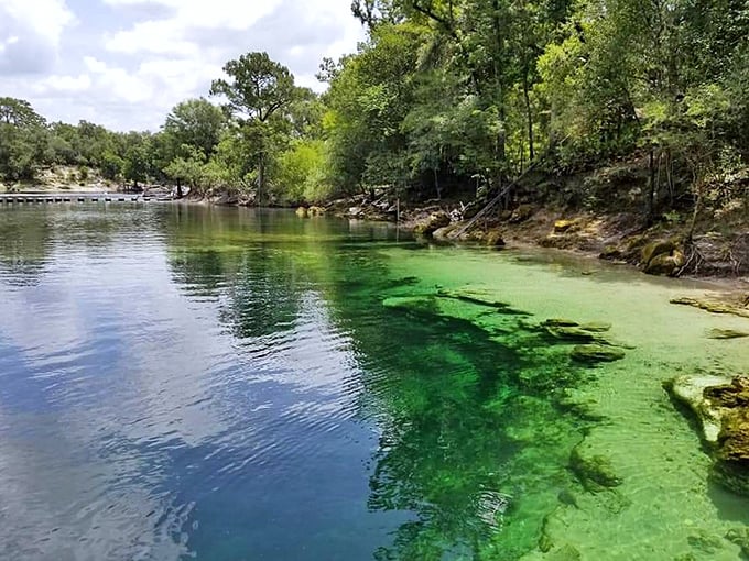 Nature's own swimming pool with water so clear, you'll wonder if someone secretly installed glass. Florida's liquid magic on full display.