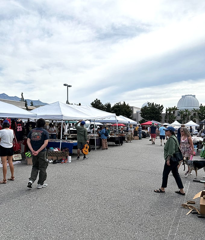 Treasure hunters navigate the sprawling outdoor section of PCC Flea Market, where white canopies shelter countless possibilities under the watchful gaze of Pasadena's mountains.