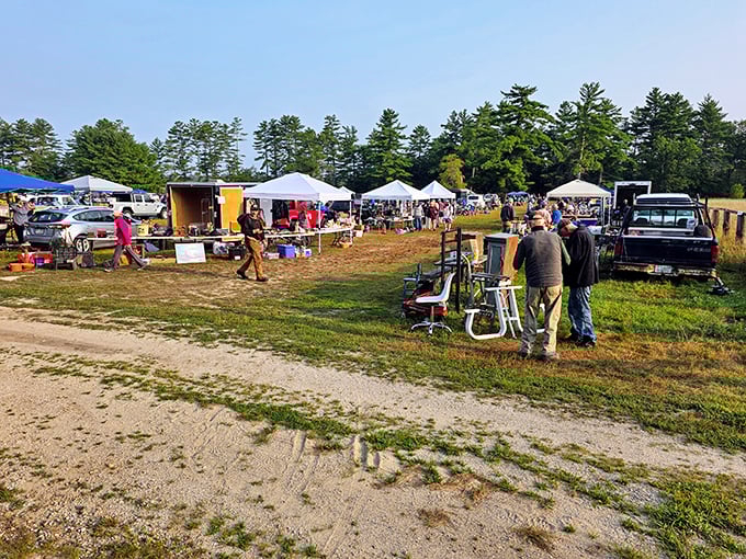 Rows of colorful tents stretch across this Warner field like a treasure hunter's convention come to life.