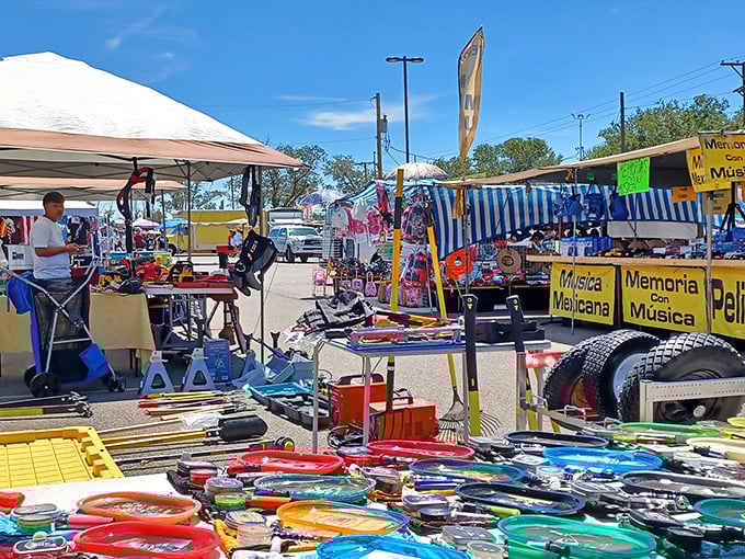 Under Albuquerque’s brilliant sky, early risers dive into a sea of treasures, where yesterday’s castoffs become today’s discoveries.
