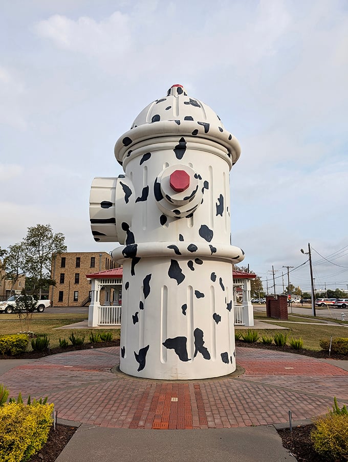 Those Dalmatian spots aren't just for show – this beauty actually connects to the city's water system.