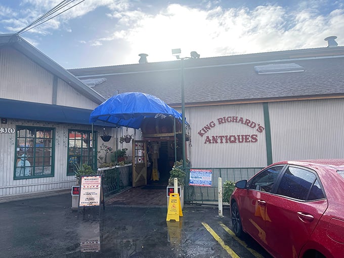 The unassuming exterior of King Richard's belies the treasure trove within—like finding the world's greatest garage sale disguised as a modest building.