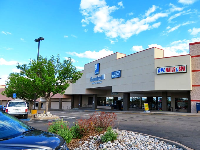 The store’s bright blue sign stands out against the exterior, inviting treasure hunters to step inside and discover their next great find.