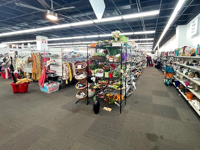 The treasure hunt begins! American Thrift's organized aisles showcase everything from seasonal decor to household essentials, all waiting for their second chance.