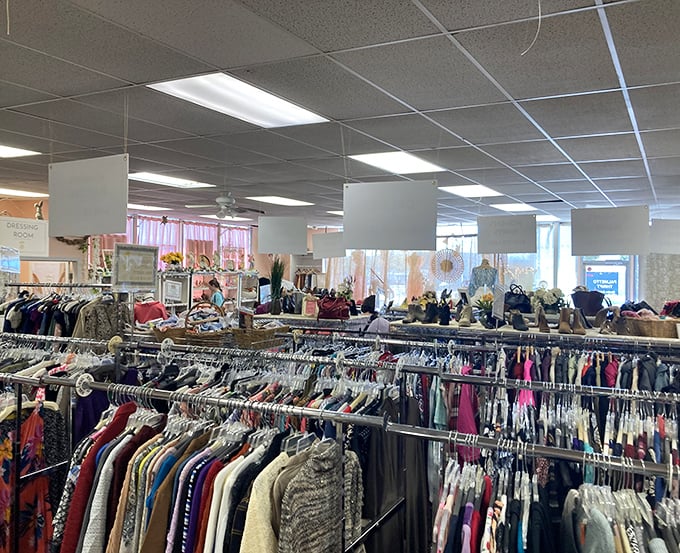 Inside Palmetto Thrift, racks of clothes and shelves of treasures create a bargain hunter’s paradise waiting to be explored.