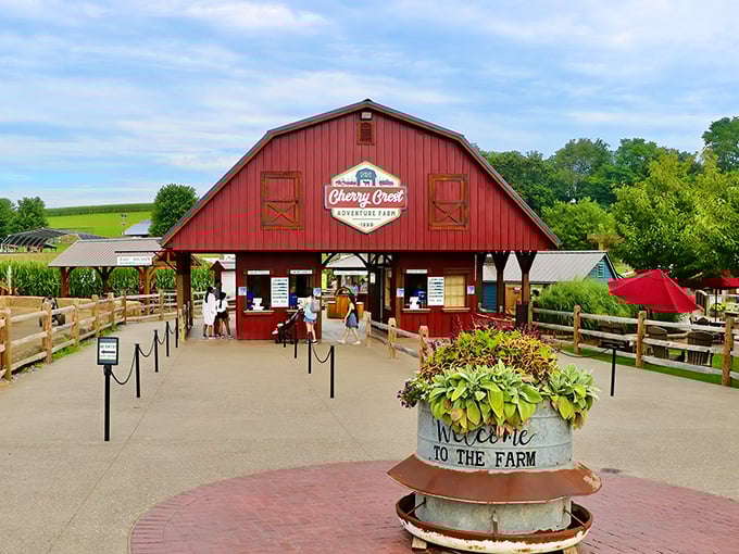 The iconic red barn welcomes visitors like an old friend, promising adventures that'll make you forget all about your smartphone for a few hours.