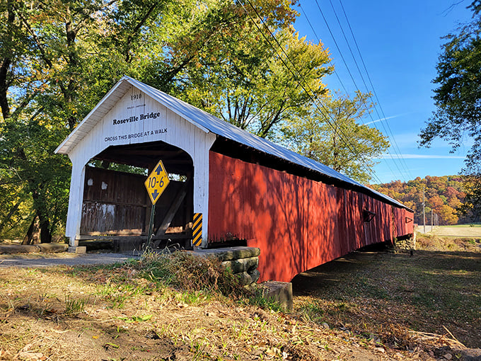 That red paint against autumn gold makes you understand why photographers can't resist covered bridges.