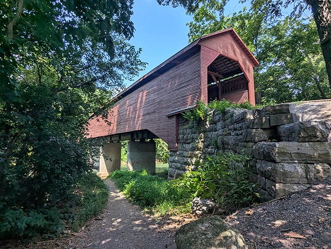 From below, the bridge appears to float above the Shenandoah's gentle current. Mother Nature's perfect frame job—water, wood, and sky in harmonious balance.