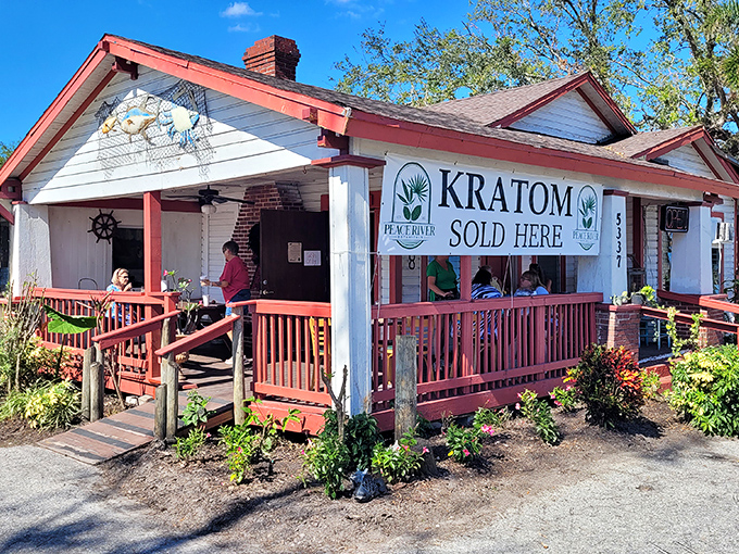 This weathered Florida cracker house with its cheerful red trim promises authentic experiences, not Instagram opportunities.
