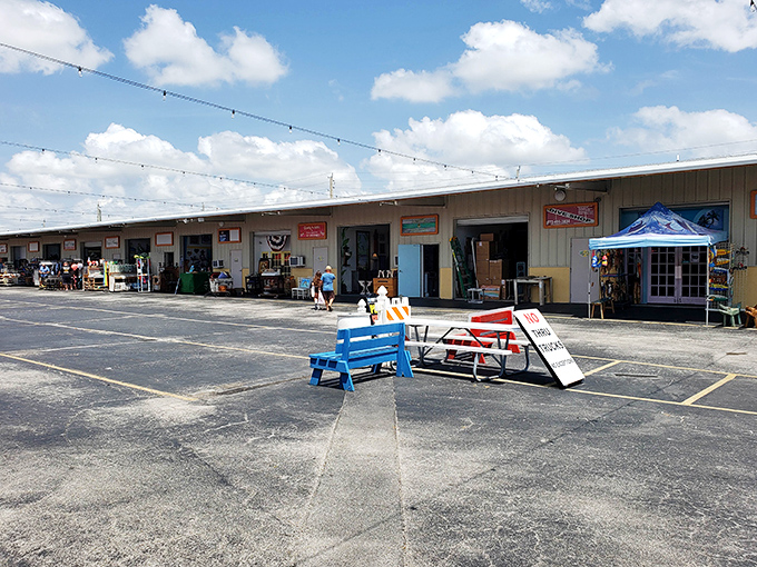 The treasure hunt begins! Row after row of vendor stalls await under the Florida sun, where one person's castoffs become another's prized discoveries.