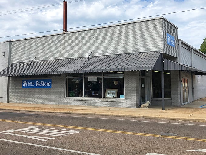 The unassuming brick facade of Starkville's ReStore hides a wonderland of secondhand treasures waiting to be discovered.