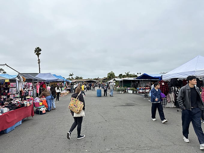 Morning at Kobey's: shoppers navigate the treasure-filled aisles under San Diego's iconic palm trees, each white tent promising undiscovered bargains and stories waiting to be told.