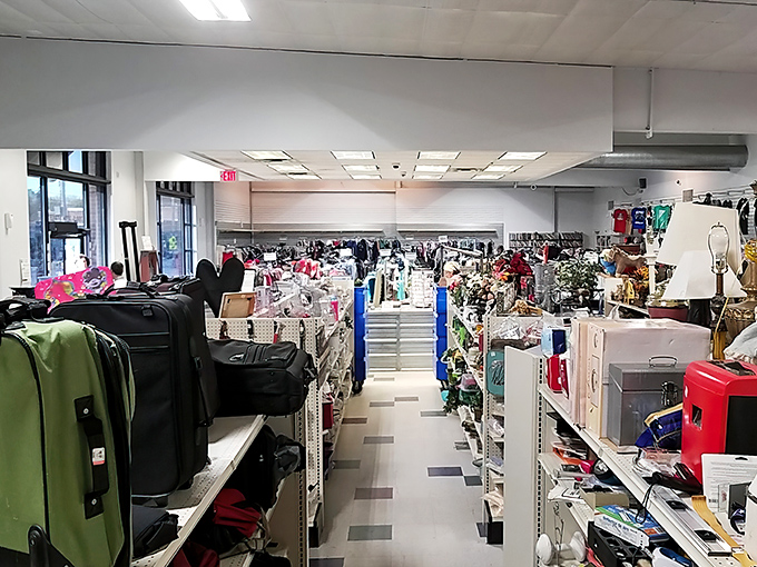 Treasure hunting begins here! Rows of luggage and housewares stretch into the distance like an archaeological dig where every artifact costs less than lunch.