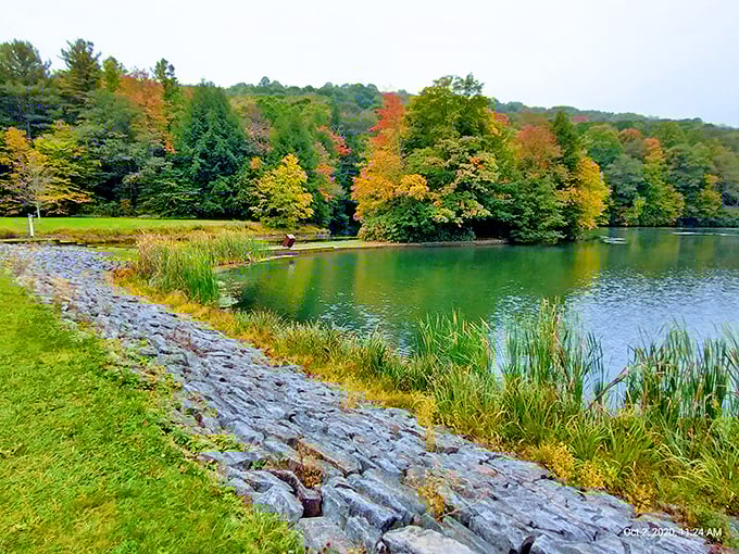 When fall paints Kooser Lake in nature's favorite colors, even your phone's camera can't help but show off.