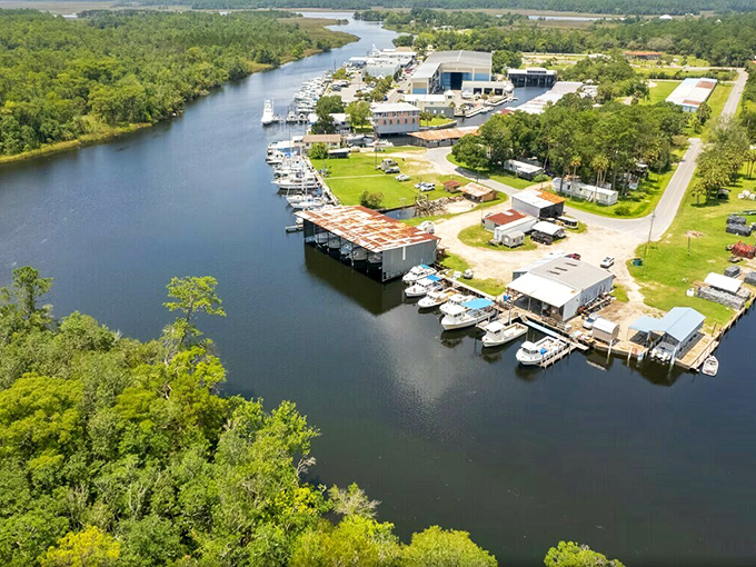Aerial paradise where water meets wilderness. St. Marks offers the kind of unspoiled Florida coastline that developers dream about paving—thankfully, nature won this round.