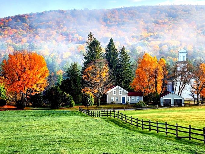 Fall in the Berkshires isn't just a season—it's a technicolor dream where Mother Nature shows off her entire palette at once.