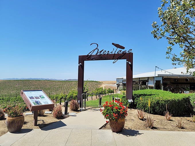 The iconic Meritage entrance frames nature's masterpiece—vineyards stretching toward mountains like a living postcard of California wine country.