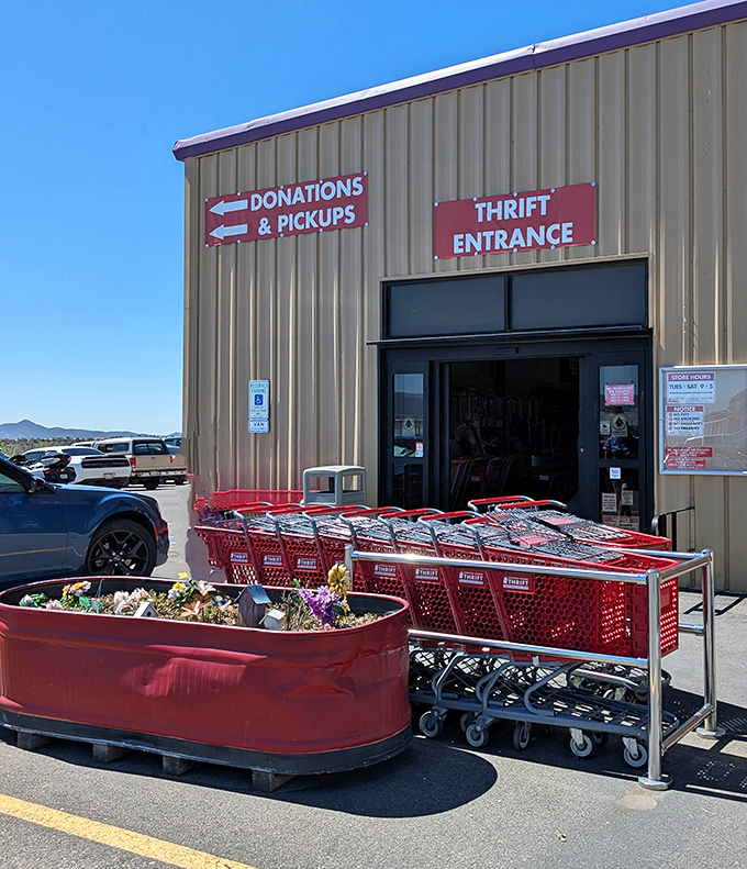 Those iconic red shopping carts aren't just for show—you'll need one for the mountain of finds you're about to discover inside.