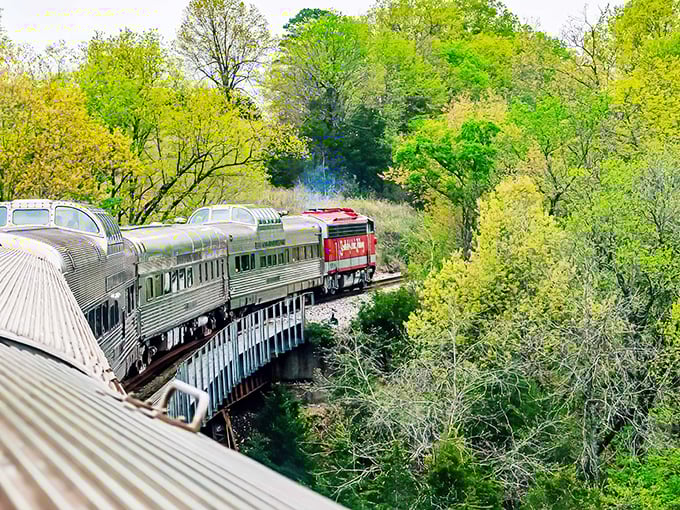 The silver serpent winds through spring's emerald explosion, proving that sometimes the journey truly is the destination.