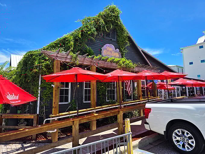The Red Bar's vine-covered exterior stands like a bohemian oasis amid Santa Rosa Beach's upscale developments, those crimson umbrellas beckoning like old friends.