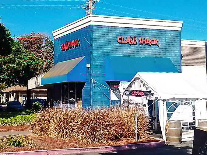 Blue-gray exterior with a vibrant blue awning, the Claw Shack stands unassumingly on Berryessa Road like a secret seafood clubhouse waiting to be discovered.