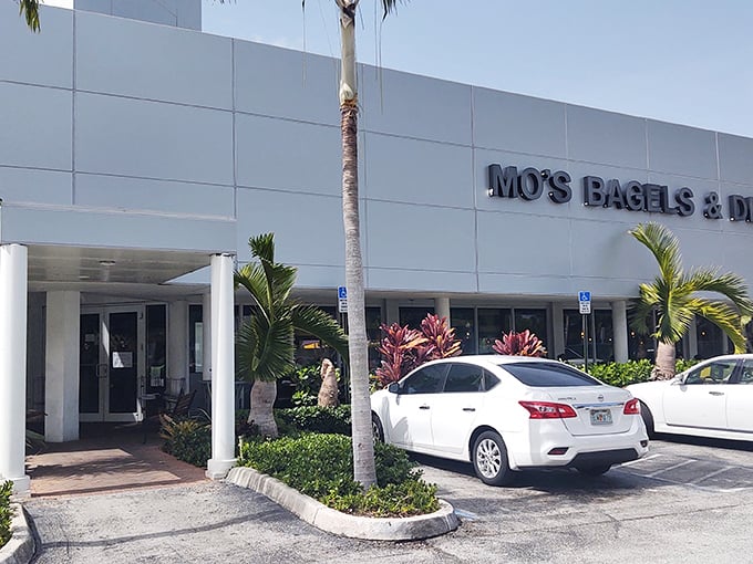 Palm trees and pastrami – only in Florida can you find authentic Jewish deli fare nestled between tropical landscaping and luxury cars.