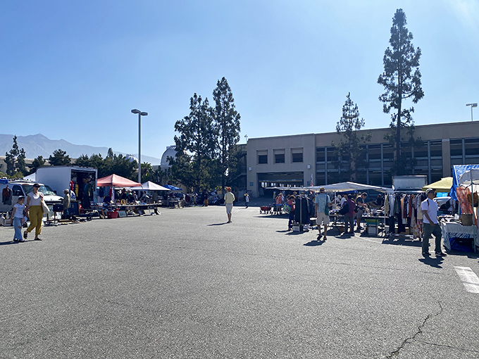 The sprawling PCC Flea Market transforms ordinary parking lots into treasure-hunting grounds where one person's castoffs become another's prized possessions.