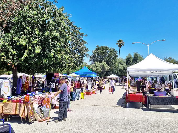 Sunshine, treasure hunting, and the promise of discovery – the Topanga Vintage Market stretches before you like a wonderland of possibilities.